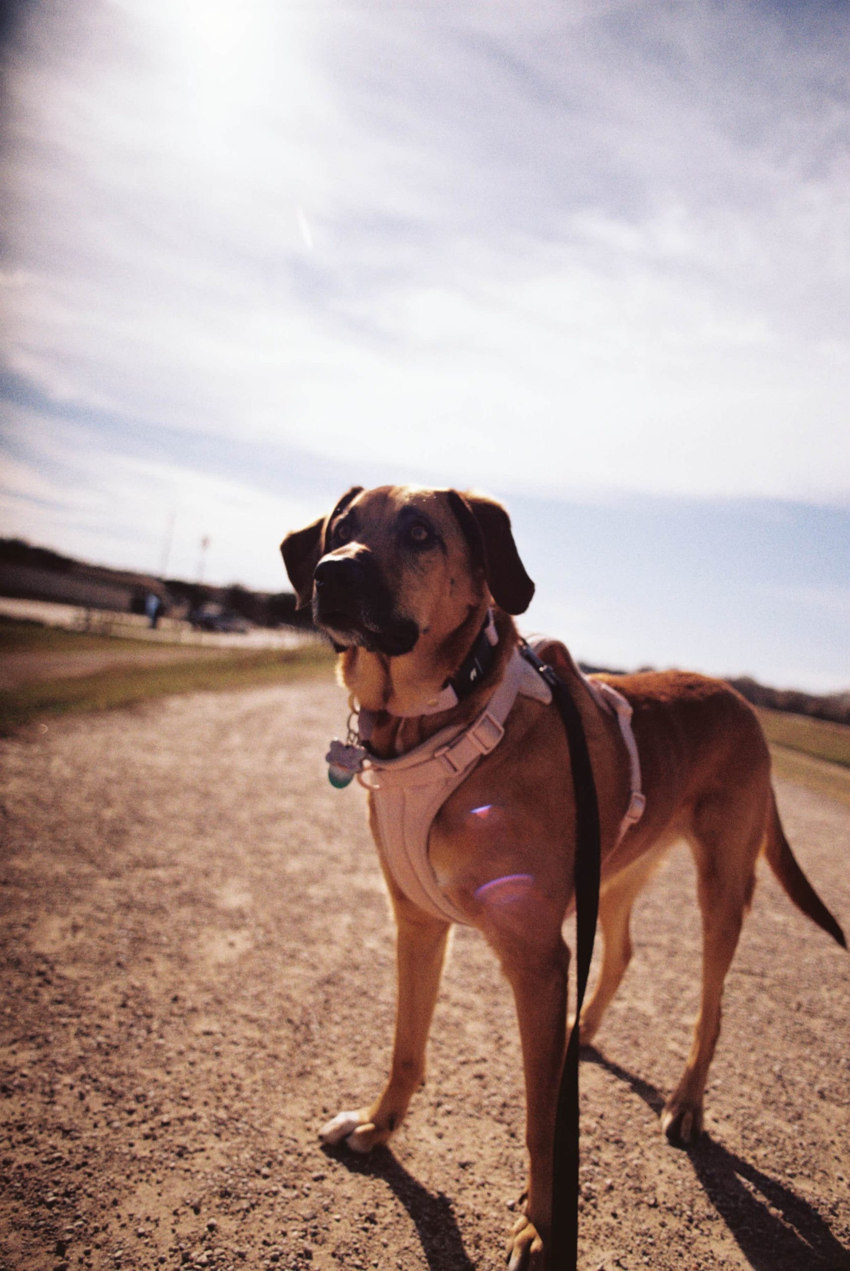 35mm Film Examples: The Unforgettable First Roll - saltedpages.com