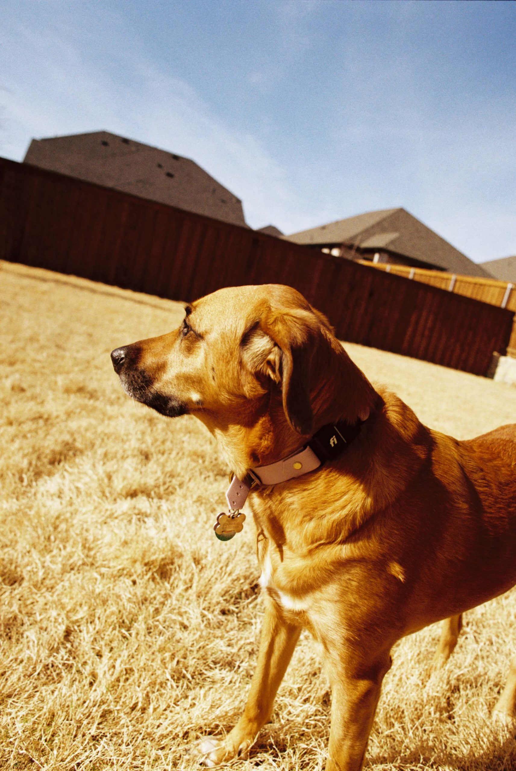 35mm Film Examples: The Unforgettable First Roll - saltedpages.com