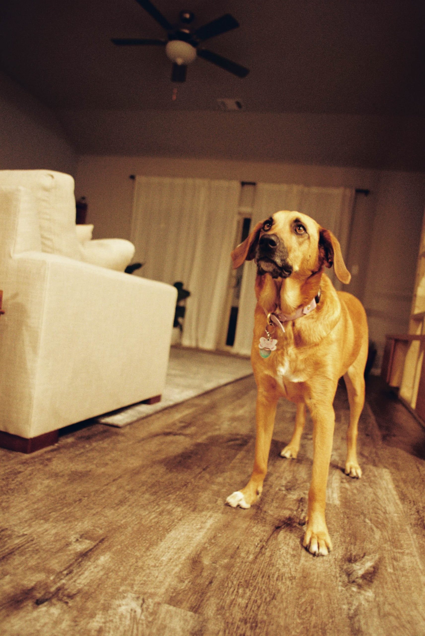 35mm Film Examples: The Unforgettable First Roll - saltedpages.com